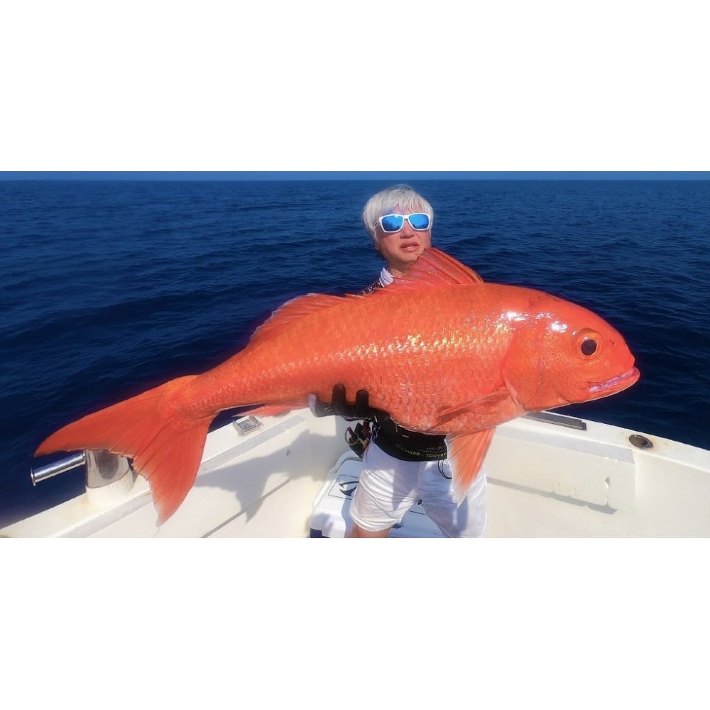 JIGGING MASTER RUBY STAR Jigging Rod