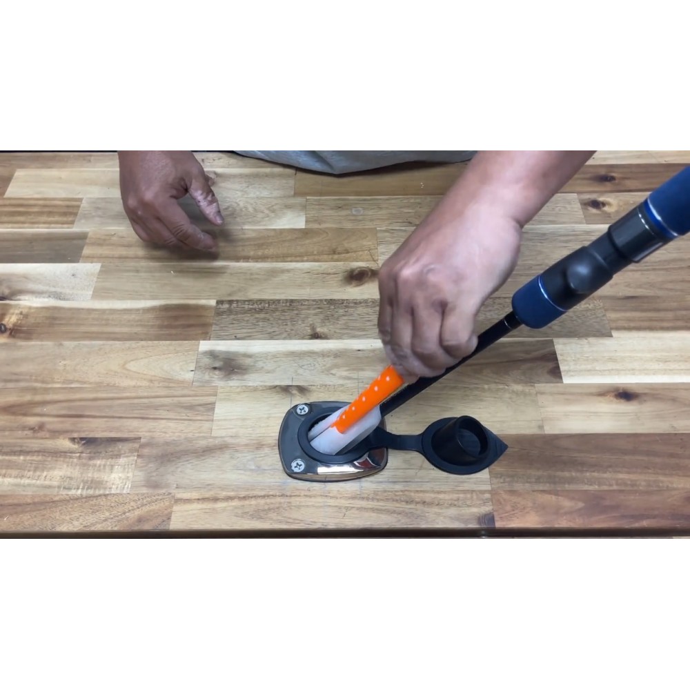 TEMPLE REEF SNAP GUARD